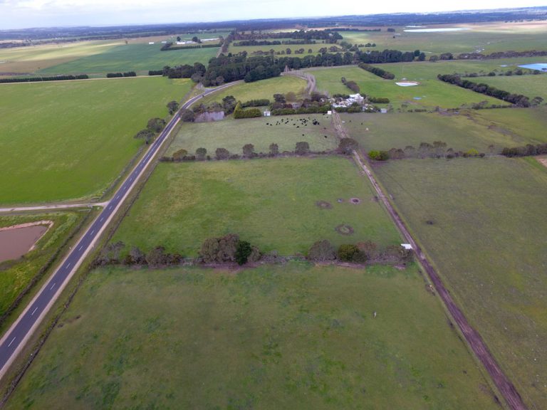 Visiting The Family Farm | Paraparap Vic, Australia • Andre & Cameron